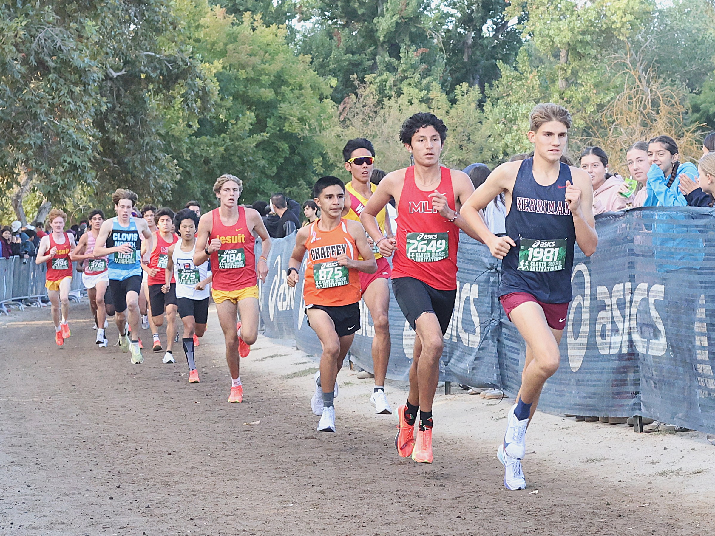 Finished Results - Article